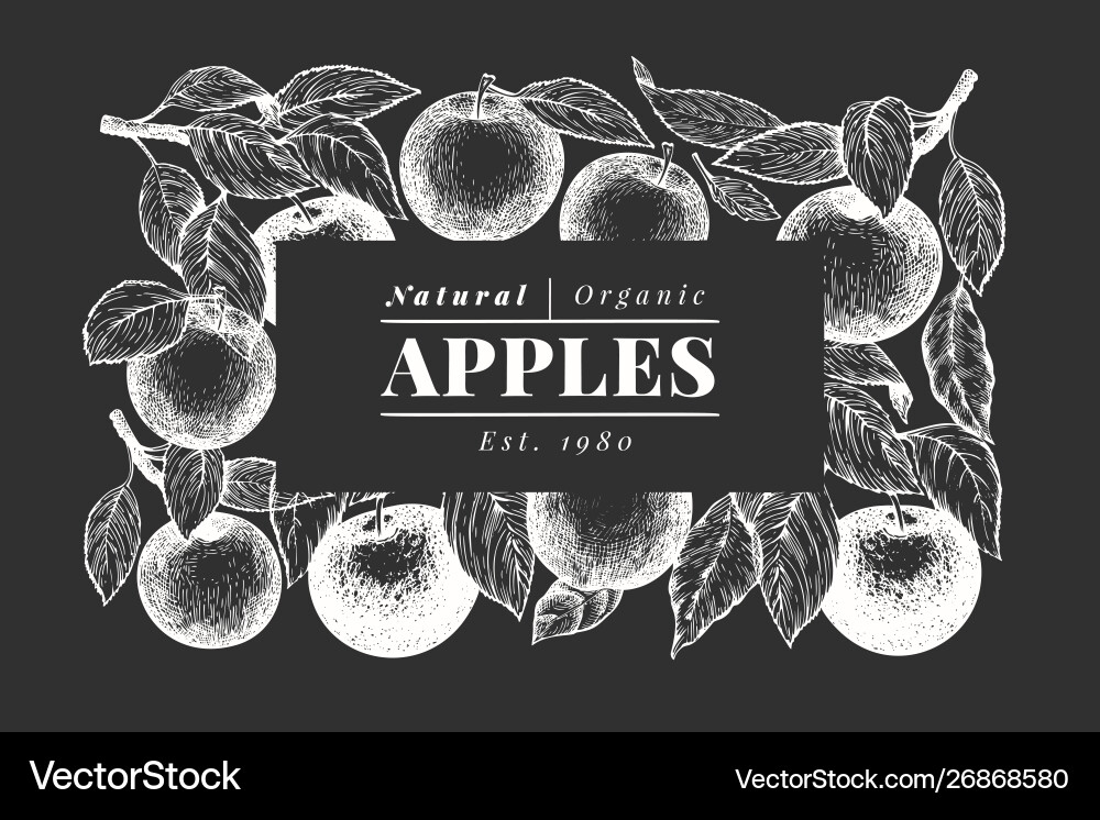 Apple branch design template hand drawn garden Vector Image