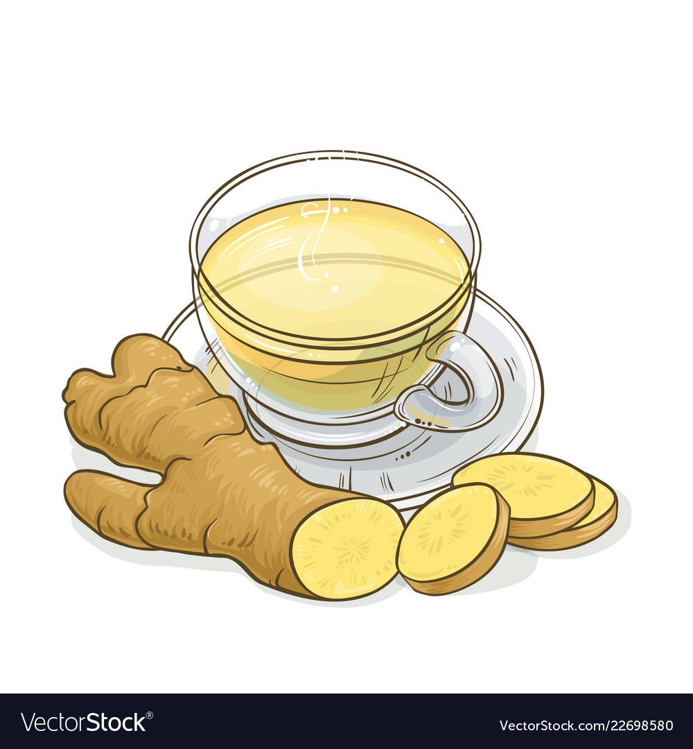 Ginger tea Royalty Free Vector Image - VectorStock Ginger tea Royalty Free Vector Image - VectorStock