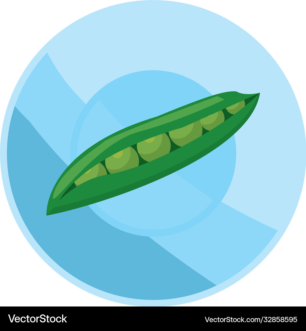 Fresh beans seeds healthy vegetable Royalty Free Vector