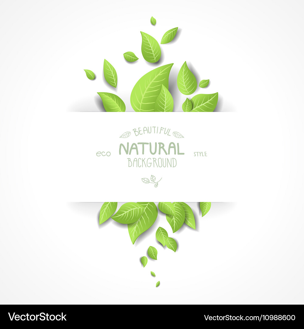 Abstract background with fresh green leaves Vector Image