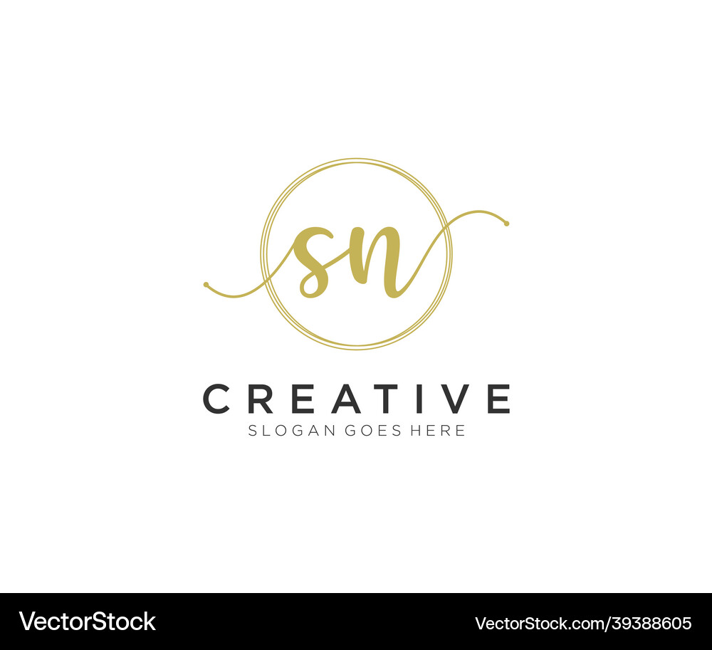 Initial sn feminine logo beauty monogram Vector Image