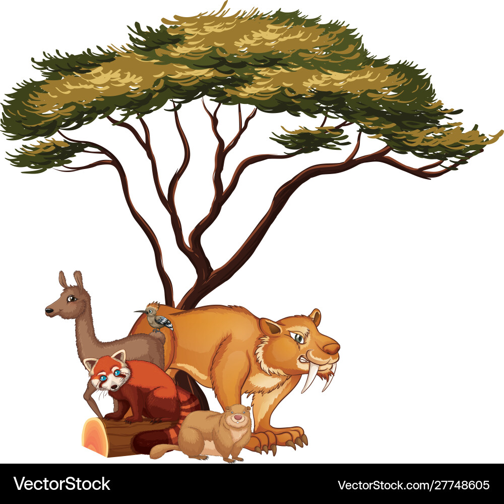 Isolated picture many animals Royalty Free Vector Image