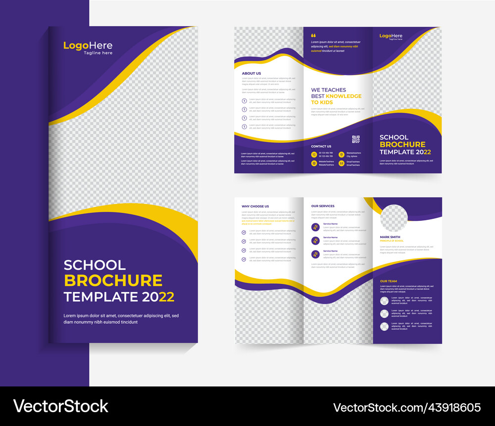 School education trifold brochure design template Vector Image