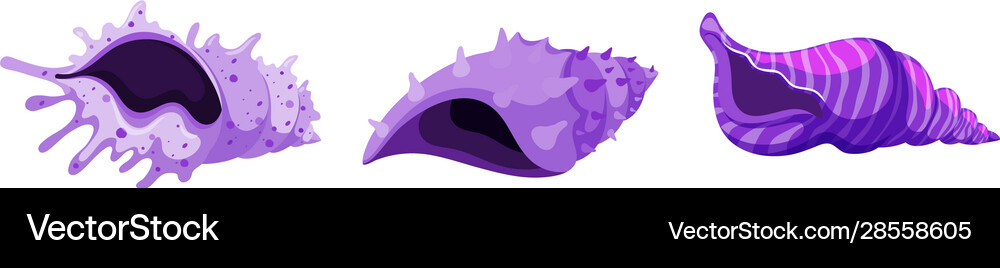 Set isolated seashells in purple color Royalty Free Vector