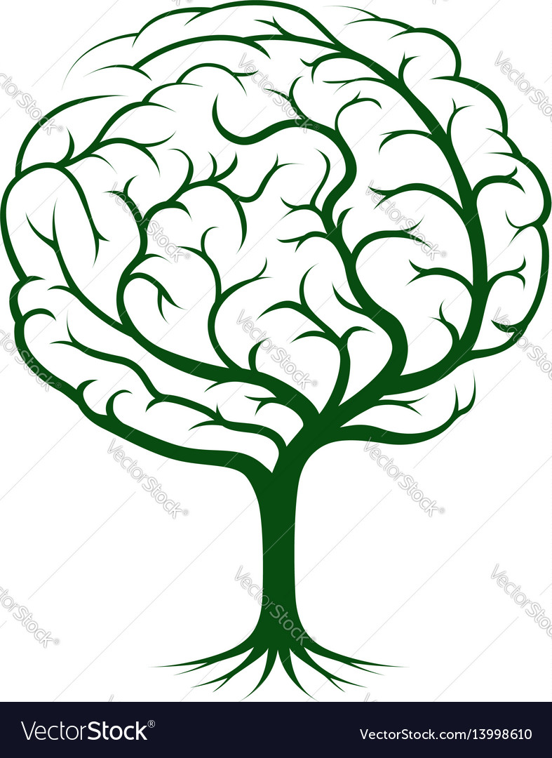 Brain tree Royalty Free Vector Image - VectorStock