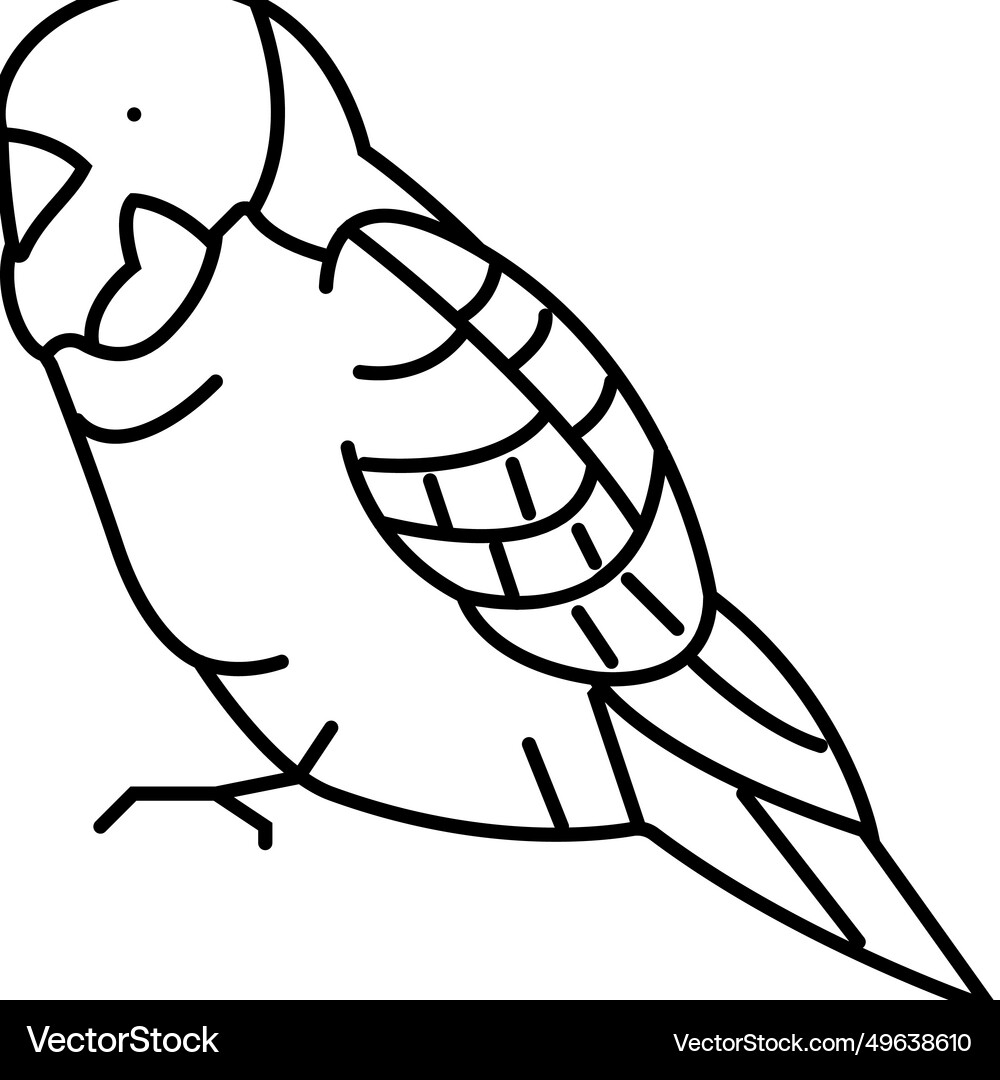 Budgerigar parakeet parrot bird line icon Vector Image