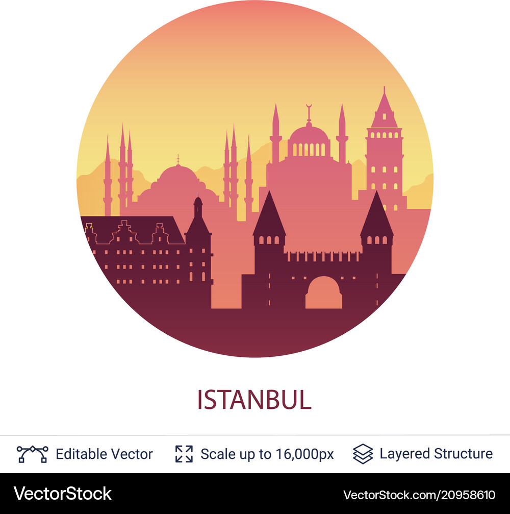 Istanbul famous city scape Royalty Free Vector Image