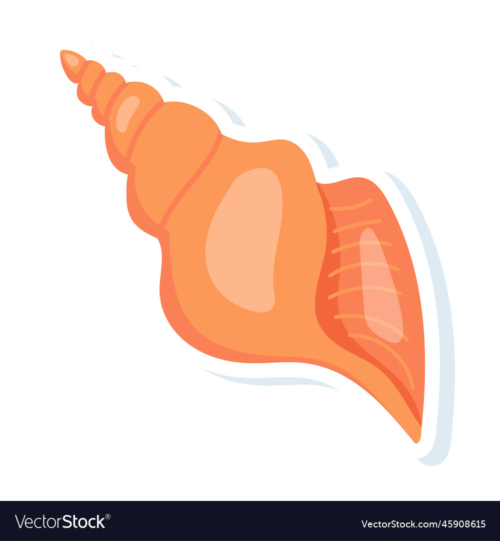 Conch Royalty Free Vector Image - VectorStock