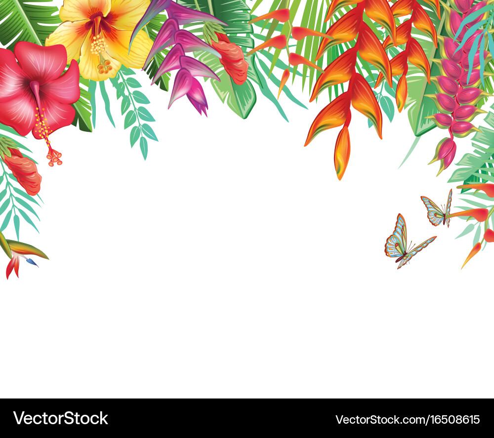 Frame from tropical and flowers Royalty Free Vector Image