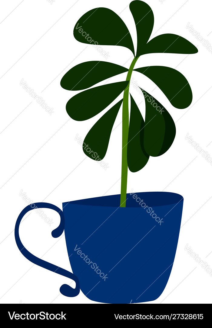 Plant in blue pot on white background Royalty Free Vector