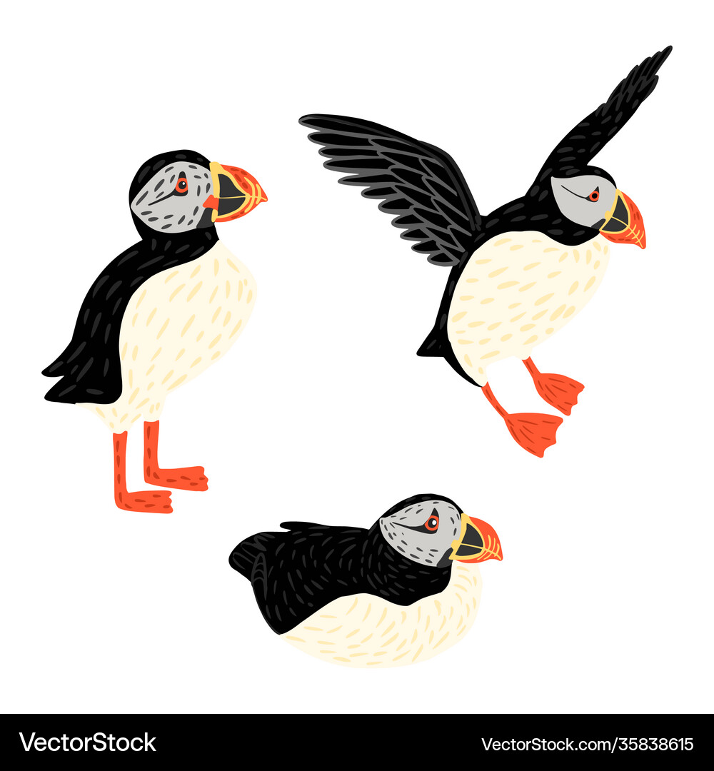 Set puffins isolated on white background cute Vector Image