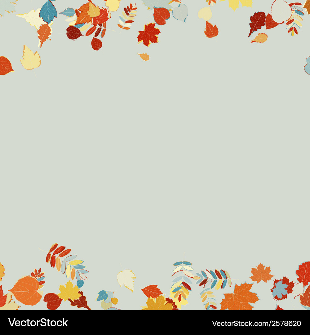 Beautiful autumn leaves Royalty Free Vector Image