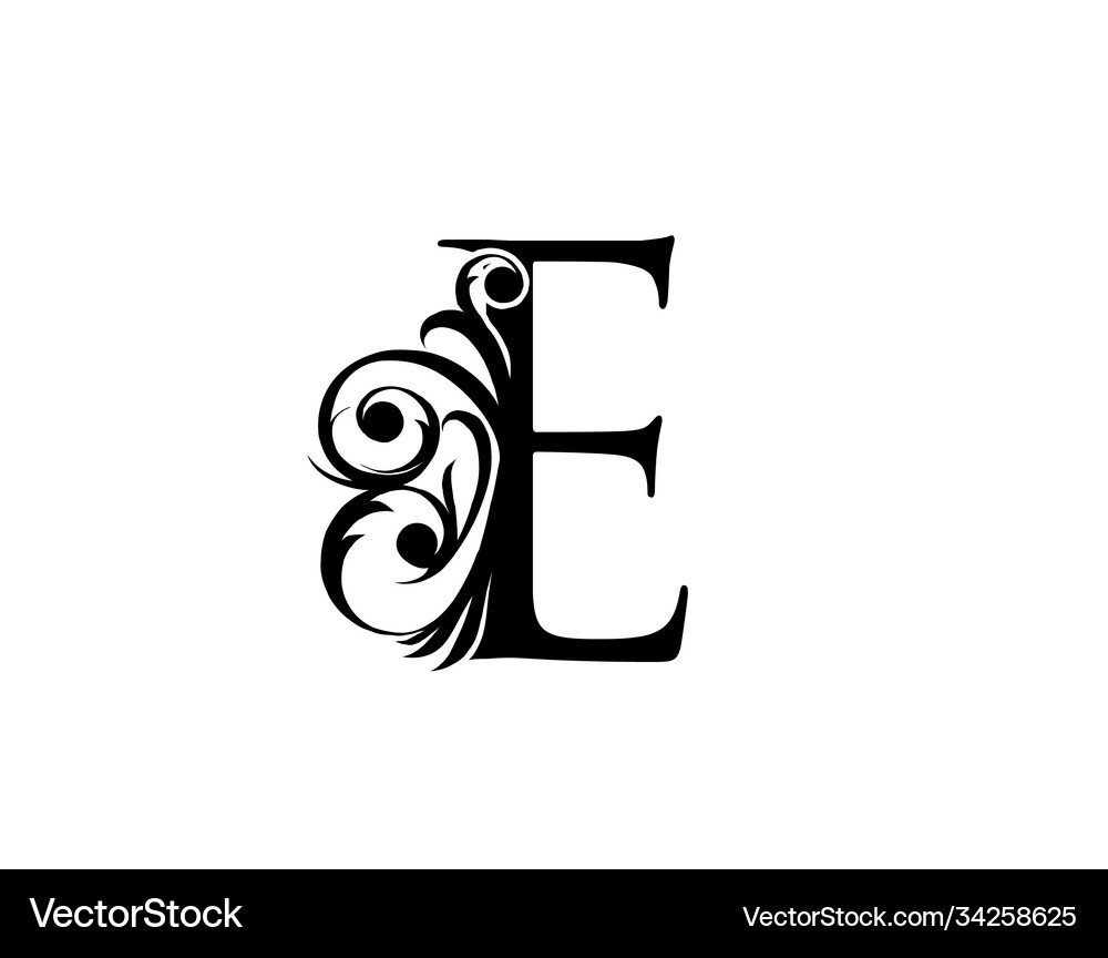 Calligraphic letter e graceful royal style luxury Vector Image