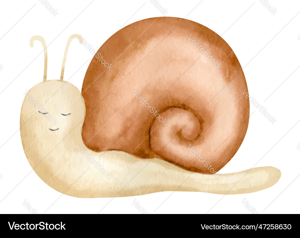 Watercolor snail hand drawn drawing Royalty Free Vector