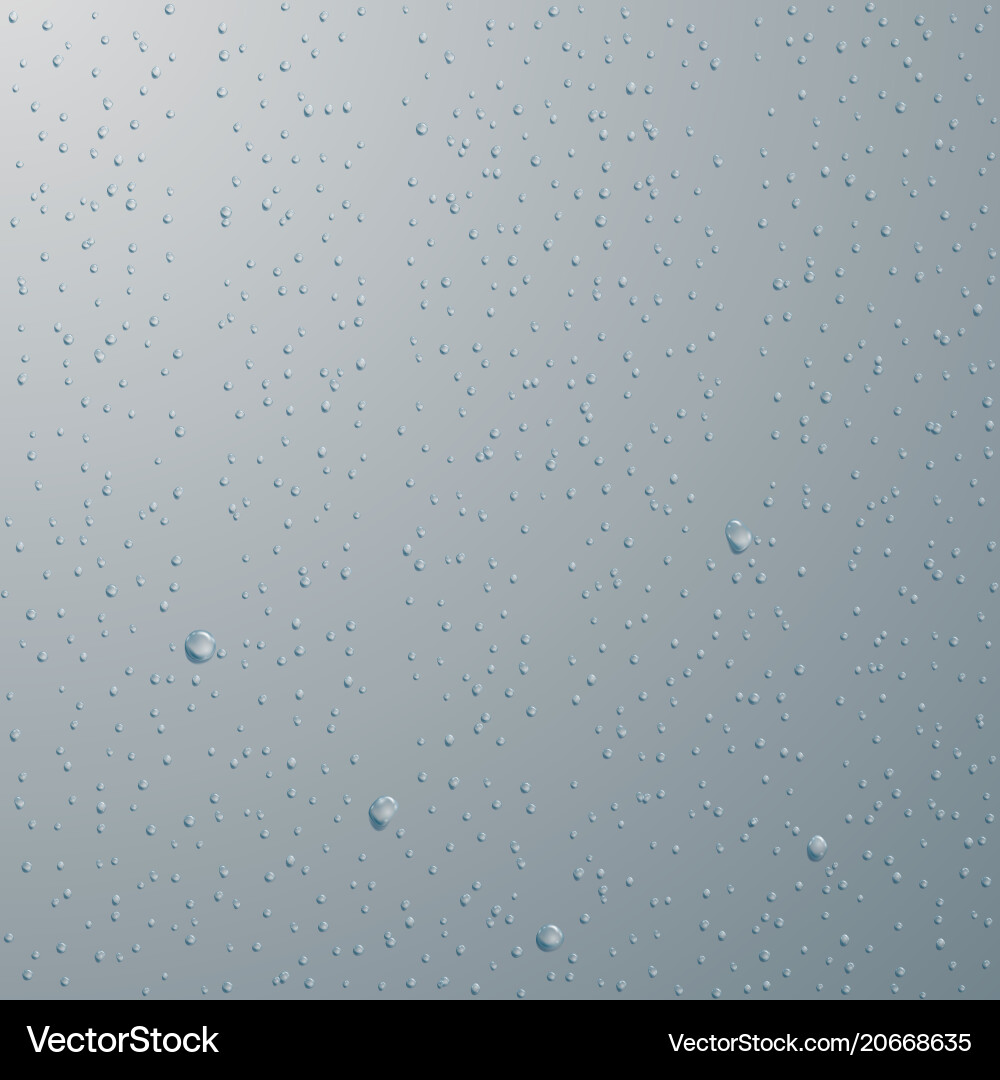 Drops water rain or shower drops isolated on Vector Image