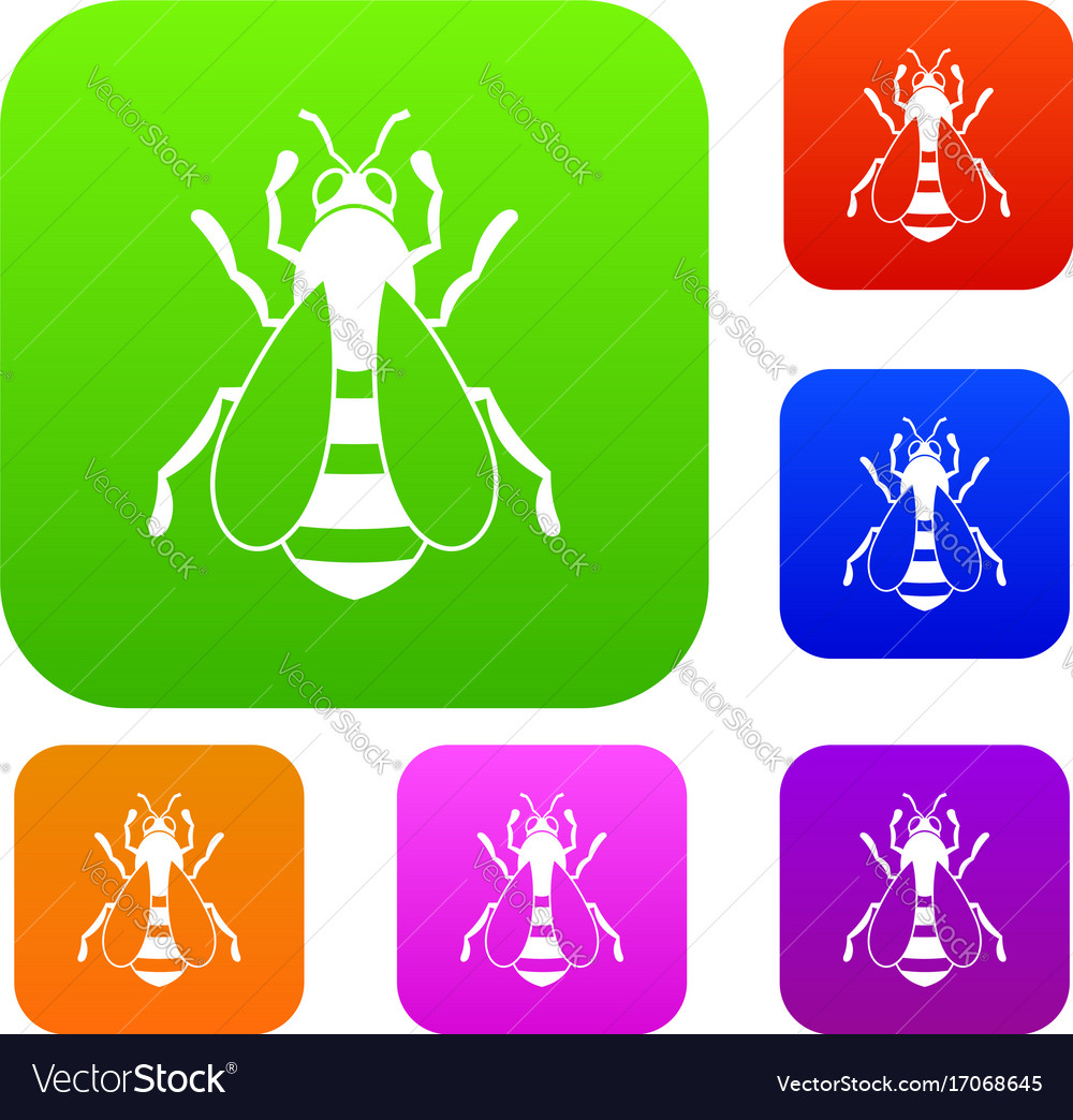 Bee set collection Royalty Free Vector Image - VectorStock