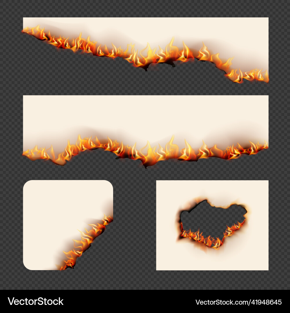 Burning old paper with fire flames on transparent Vector Image