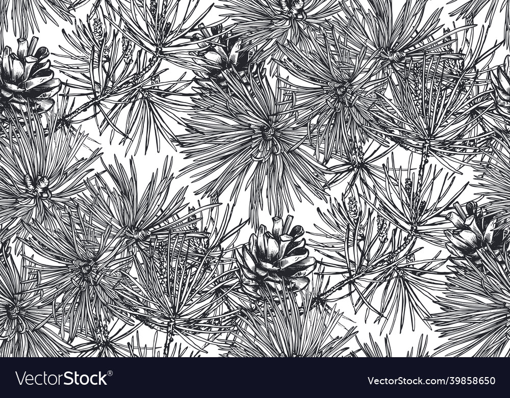 Seamless pattern with hand drawn pine Royalty Free Vector