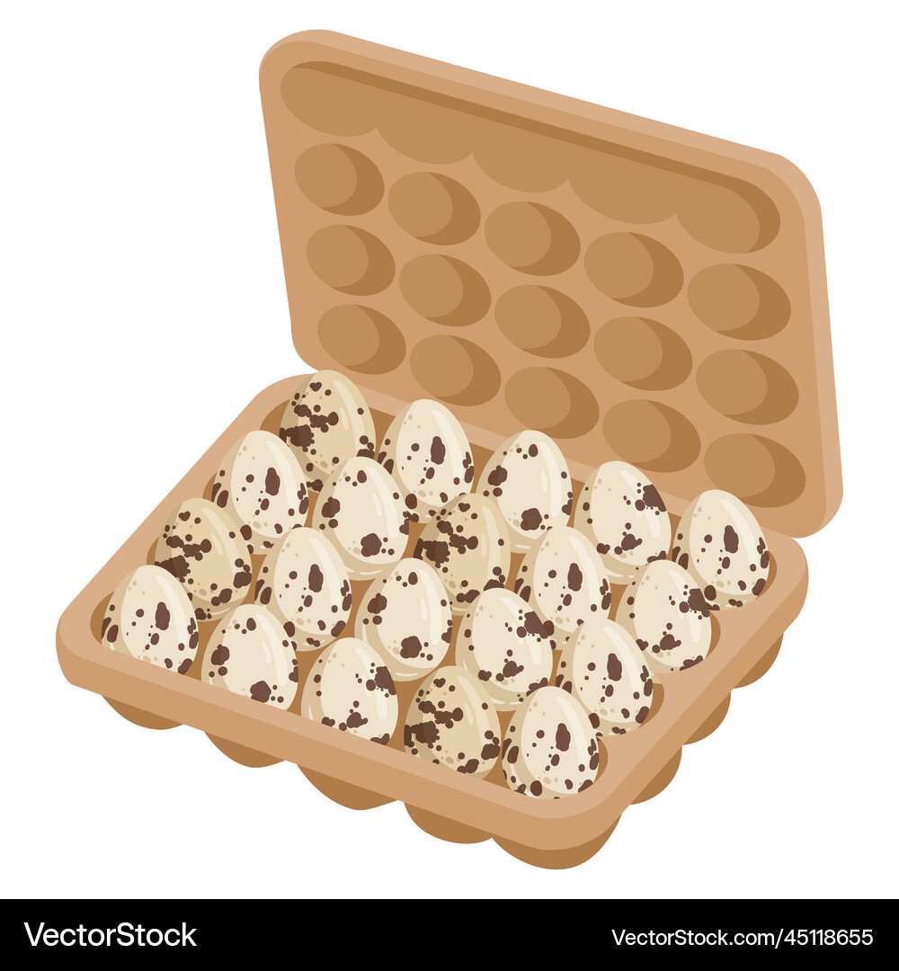 Cartoon quail eggs packaging in cardboard Vector Image