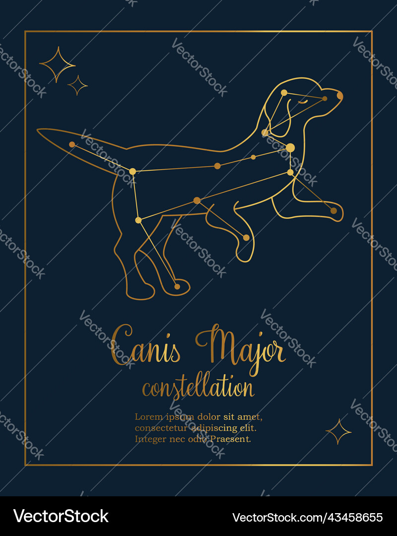 Constellation canis major star in the night Vector Image
