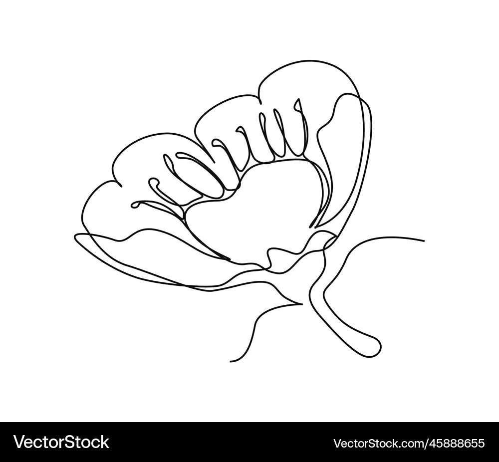 Continuous one line drawing of cherry blossom Vector Image
