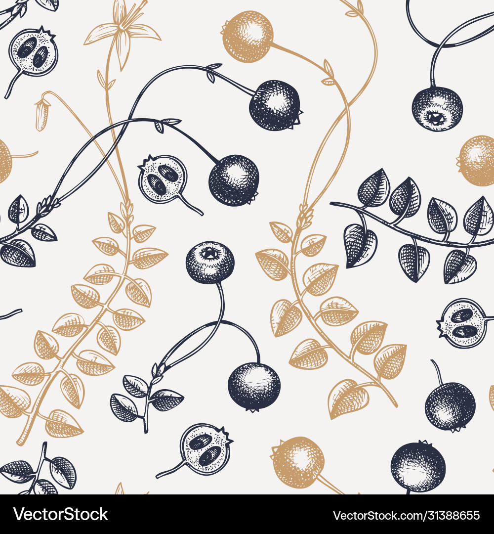 Hand drawn cranberry background in color wild Vector Image