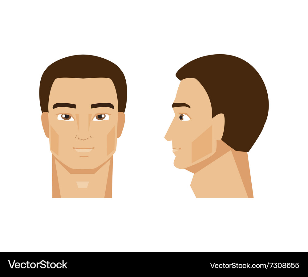 Portrait of a man Royalty Free Vector Image - VectorStock