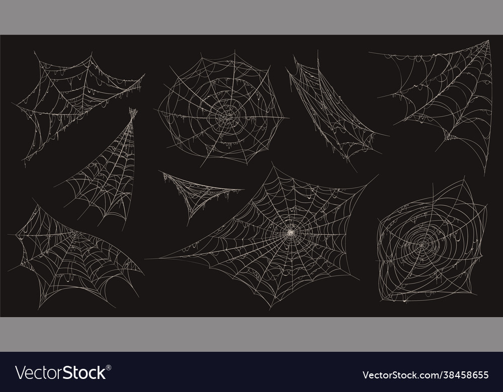 Spider web halloween cobweb spooky decoration Vector Image