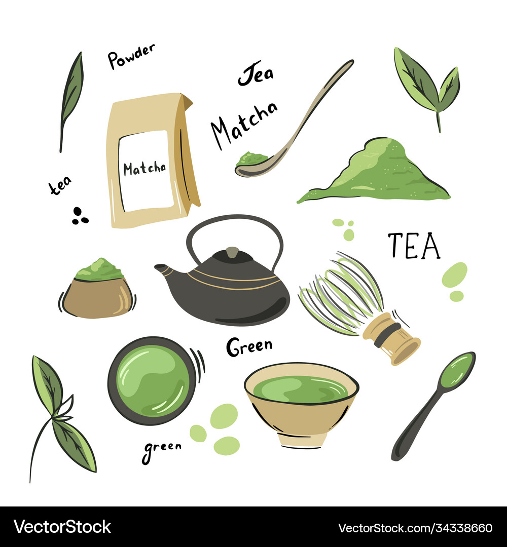 Collection matcha tea products powder Royalty Free Vector