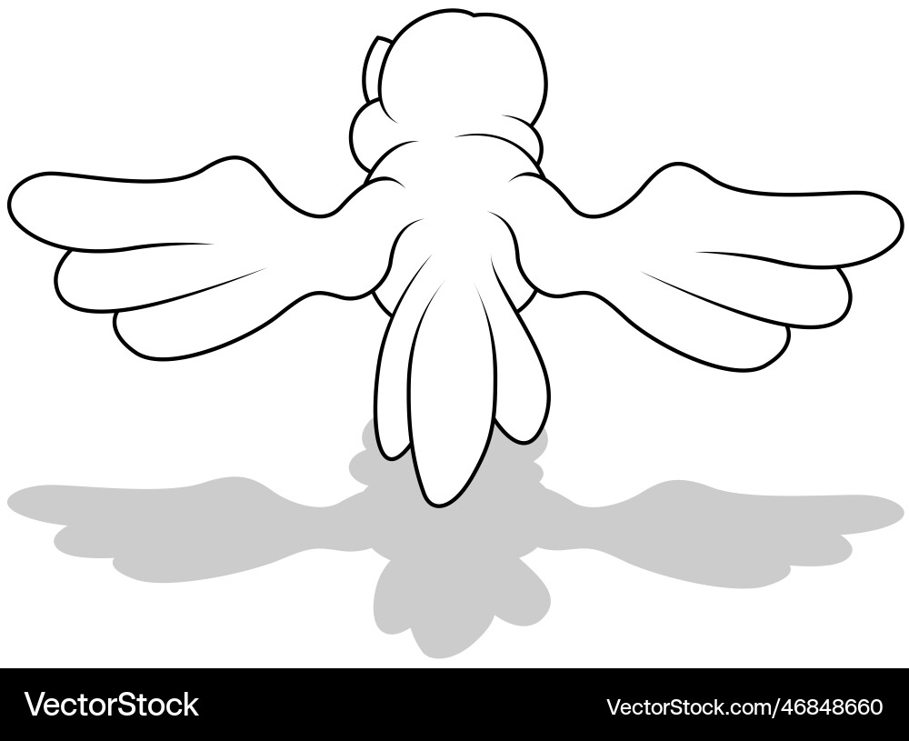 Drawing of a flying sparrow from back view Vector Image