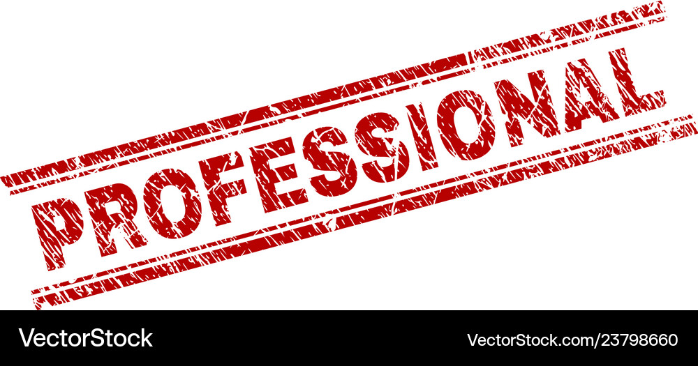 Grunge textured professional stamp seal Royalty Free Vector