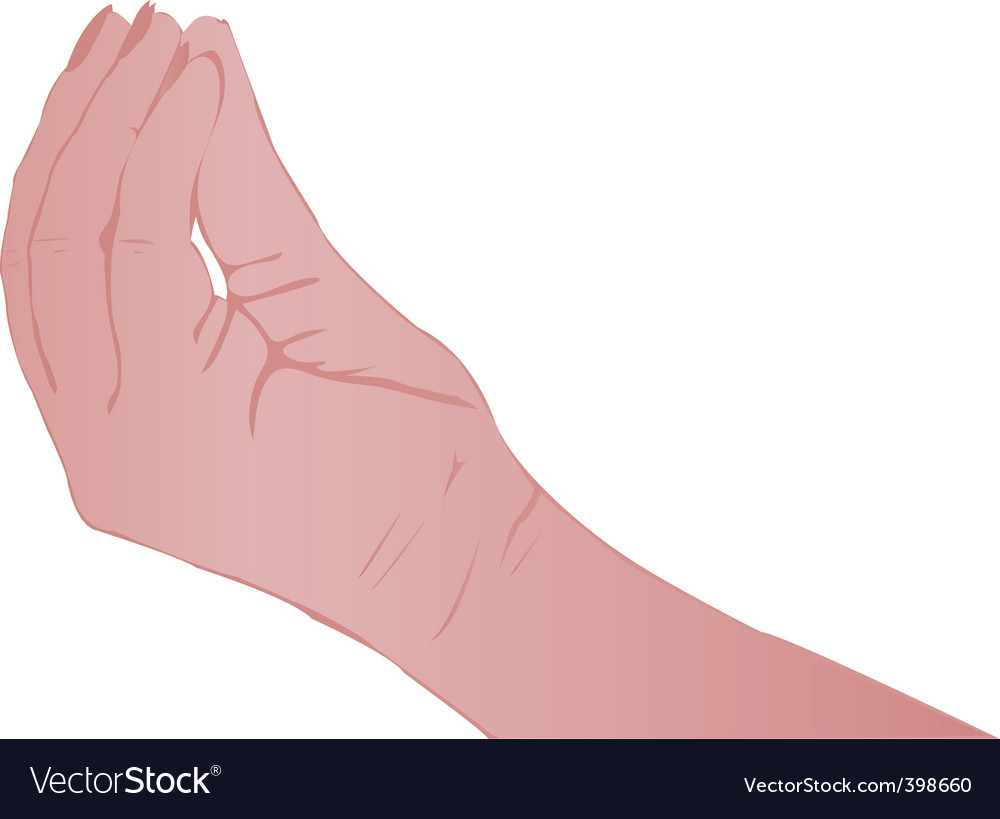 Human hand Royalty Free Vector Image - VectorStock
