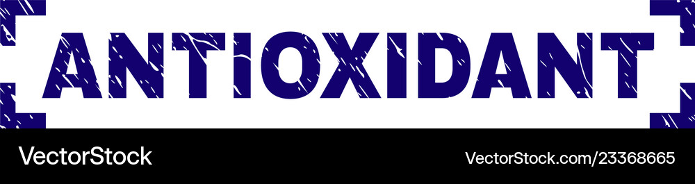 Grunge textured antioxidant stamp seal between Vector Image