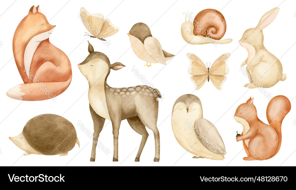 Forest animals set hand drawn watercolor Vector Image