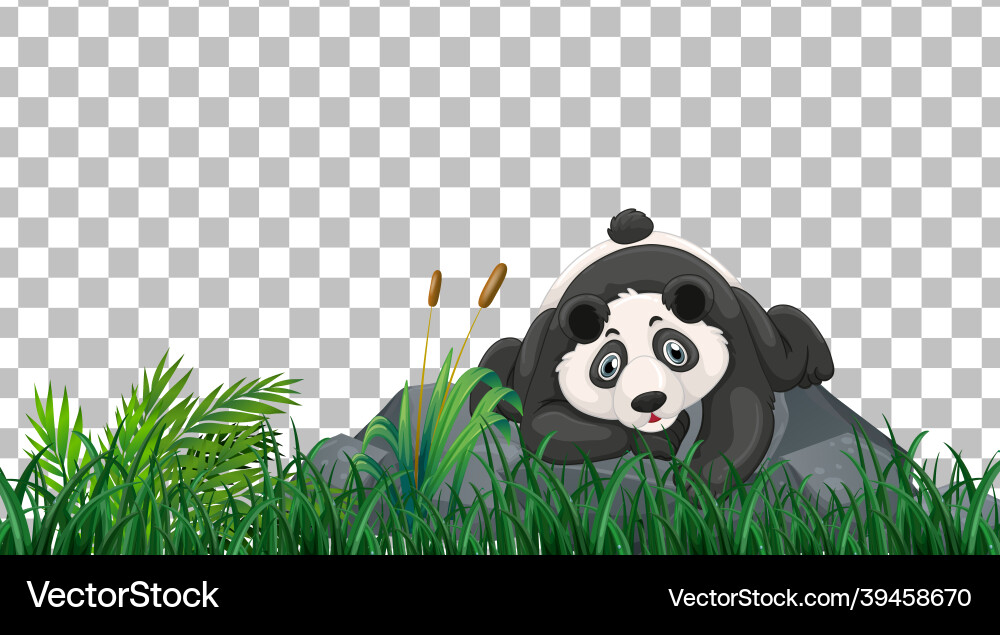 Panda on the grass field transparent background Vector Image