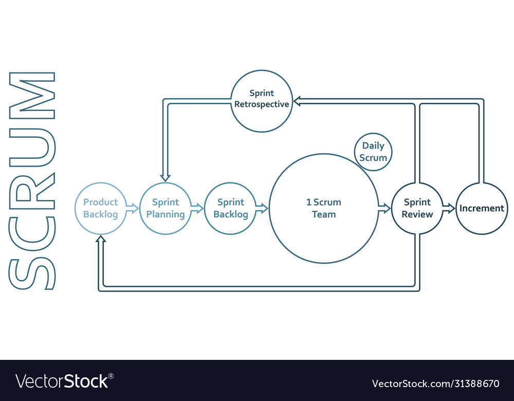 Scrum framework development process diagram Vector Image Scrum framework development process diagram Vector Image