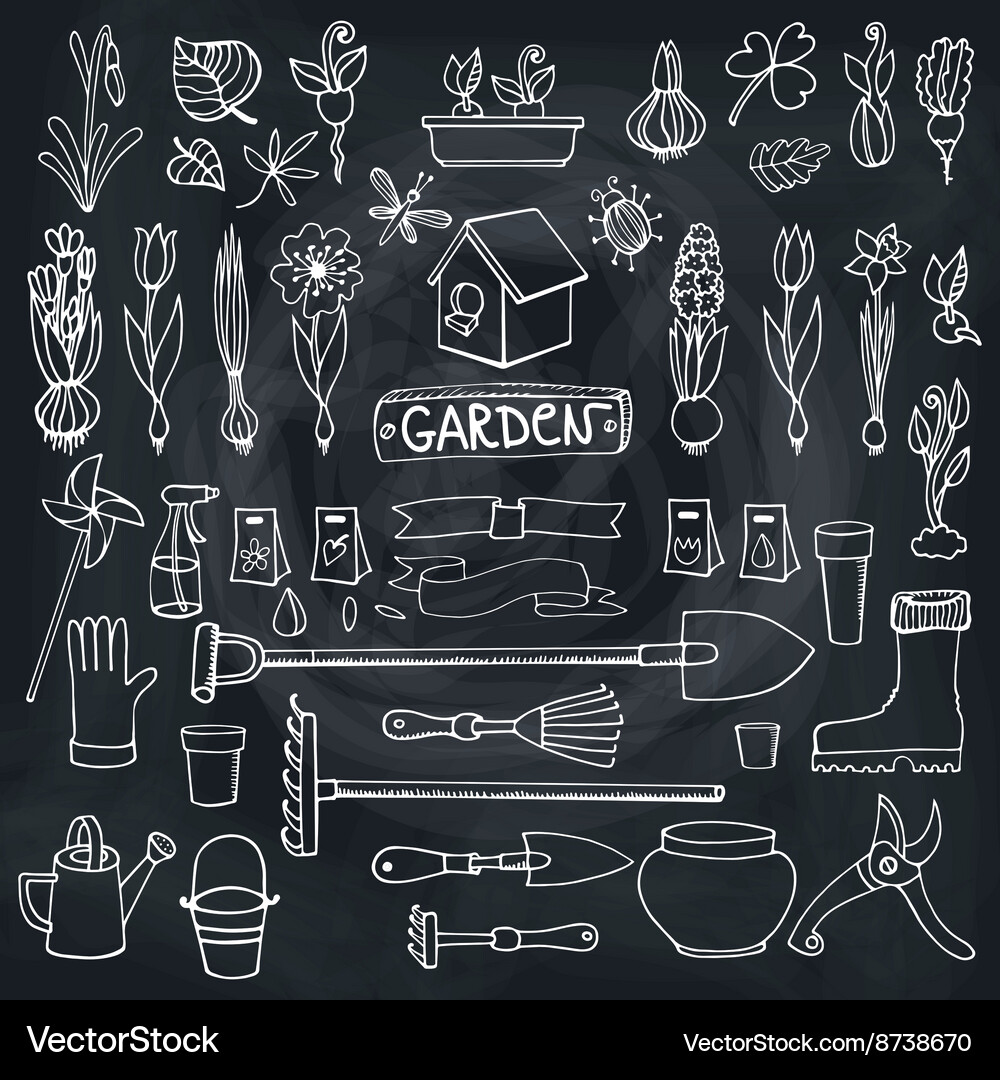 Spring garden doodlesFlowersbulbsplantstools Vector Image