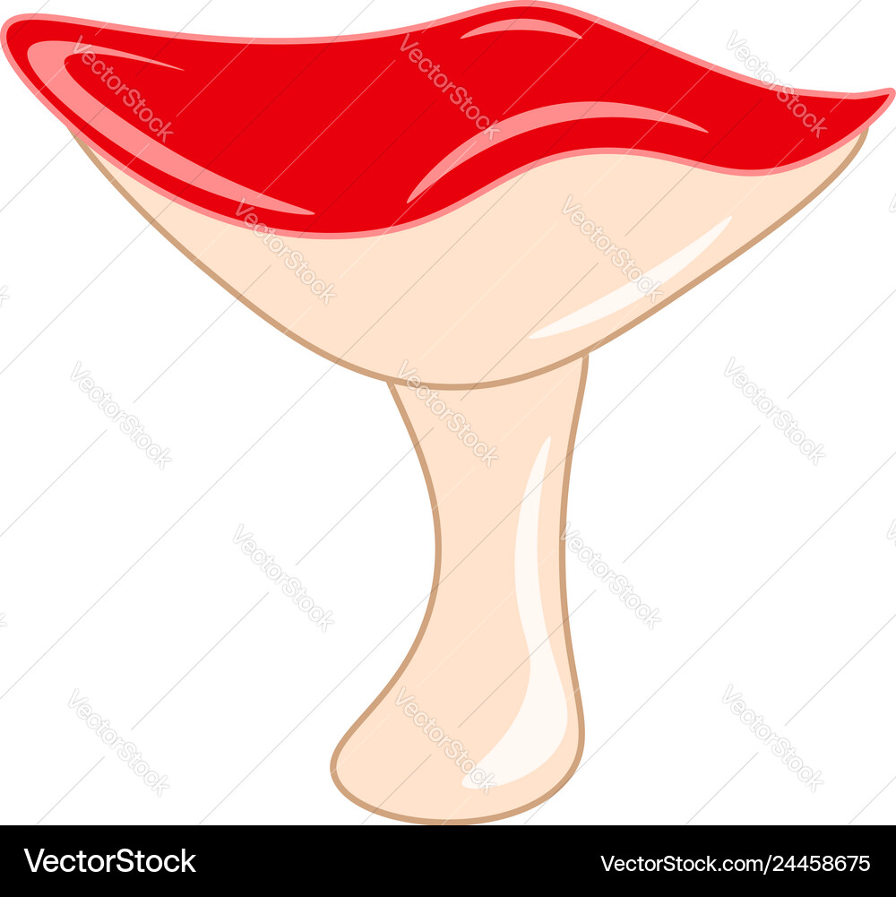 A mushroom with red cap or color Royalty Free Vector Image