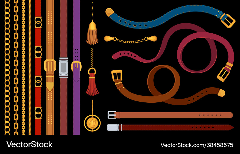 Chain belts brushes golden chains and leather Vector Image