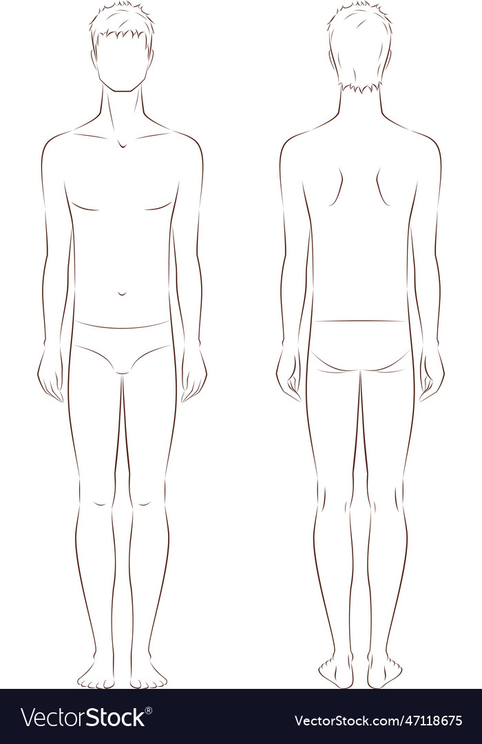 Male Mannequin Drawing