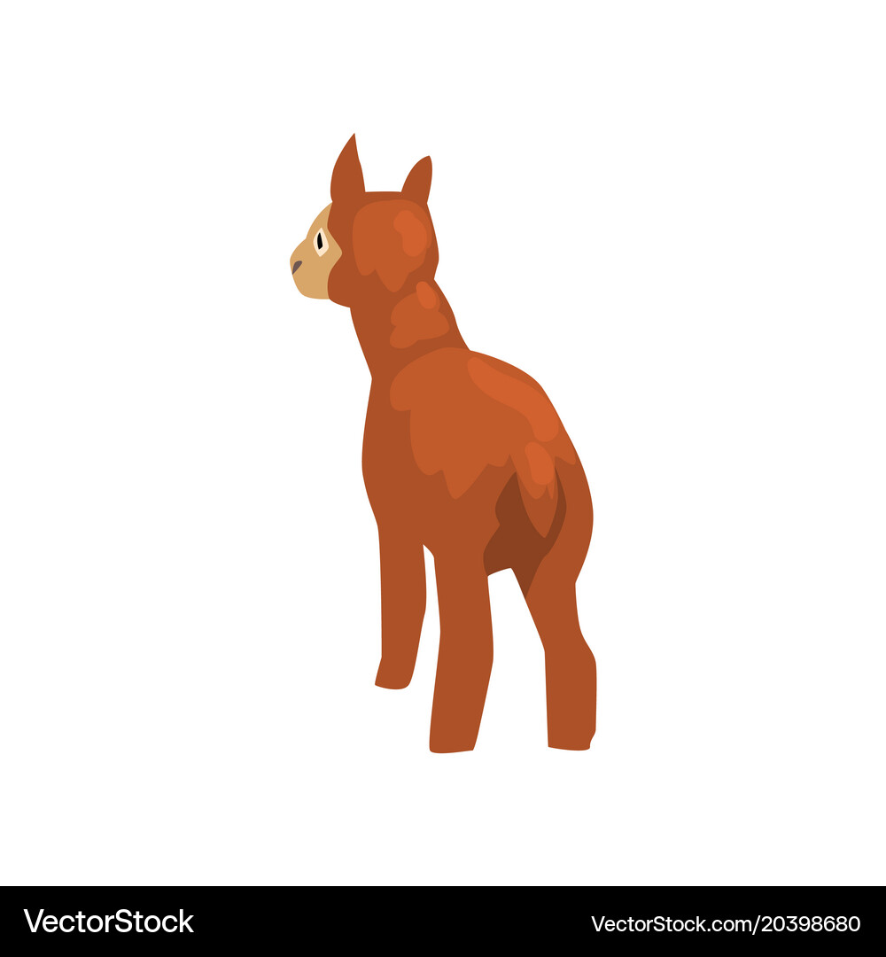 Brown lamb cute farm animal back view Royalty Free Vector