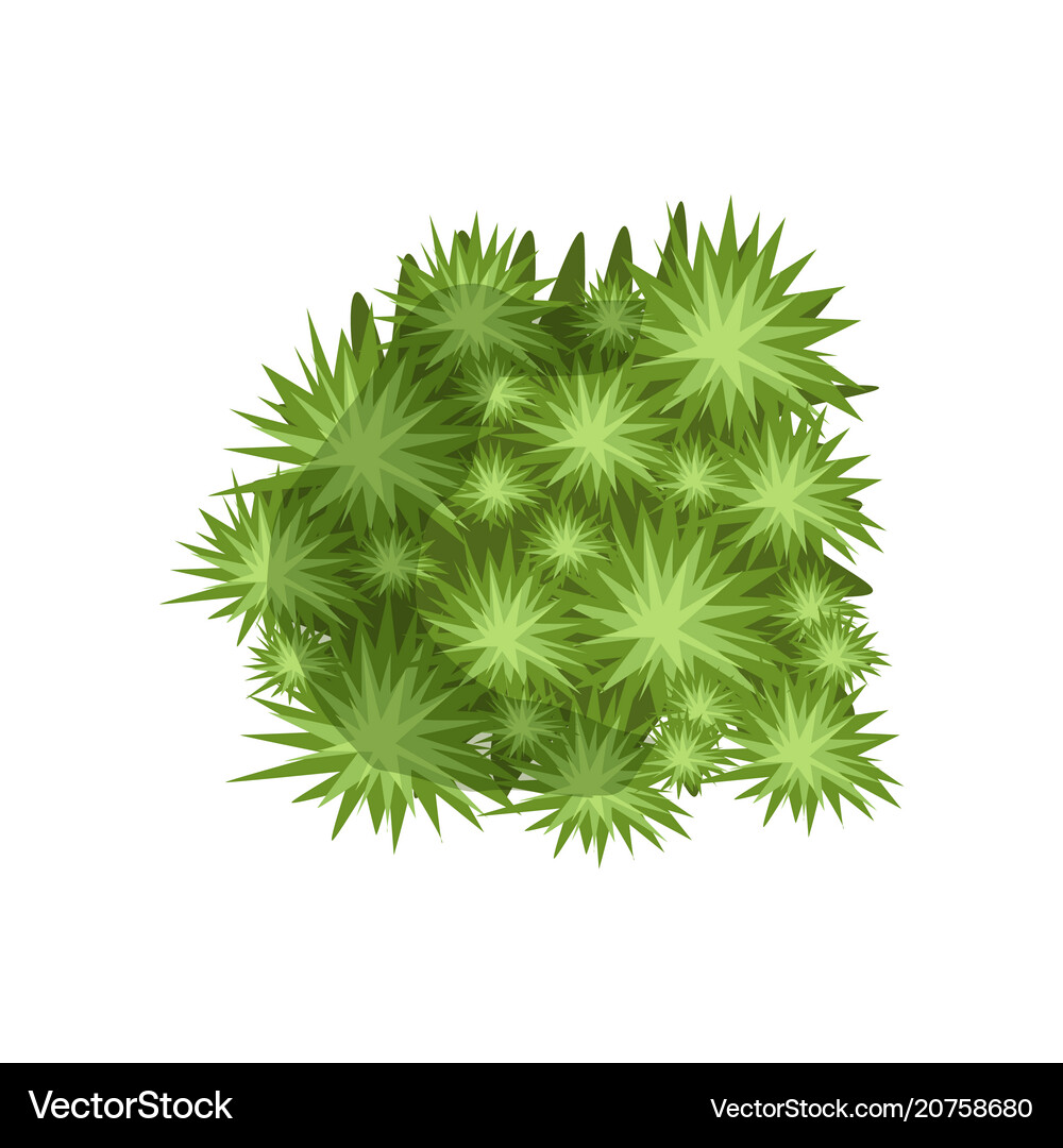 Green plant landscape natural design element top Vector Image