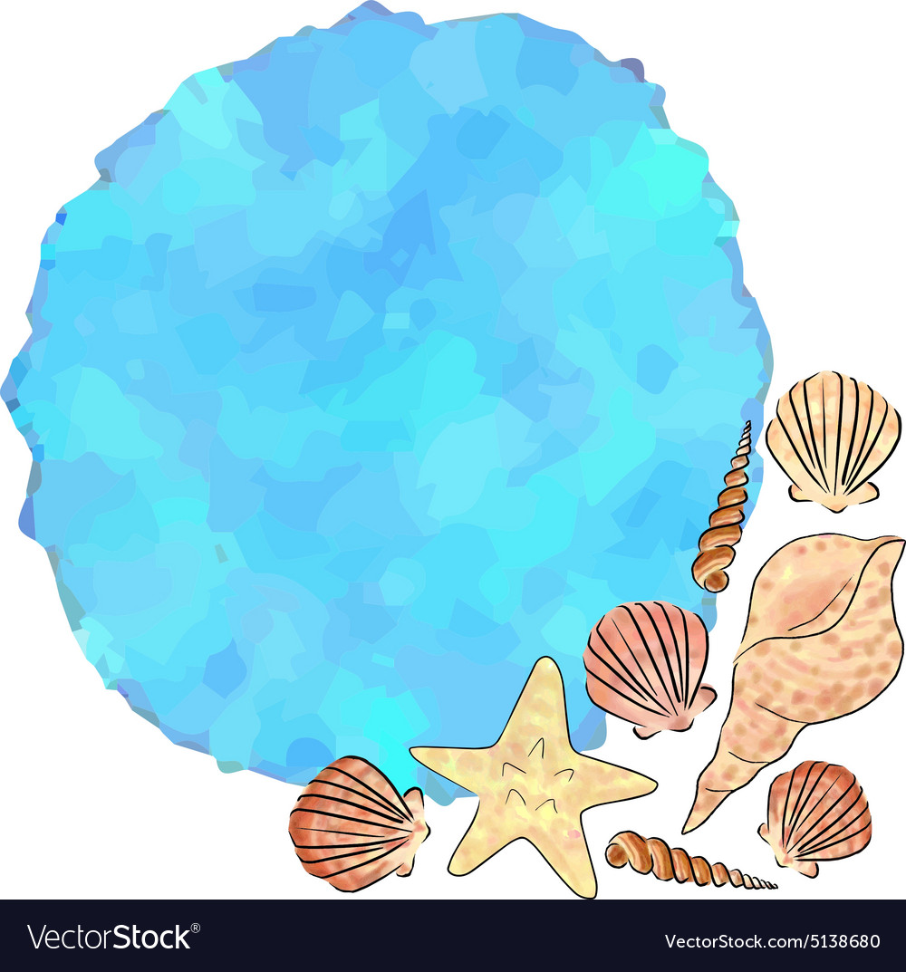 Sea shells Royalty Free Vector Image - VectorStock