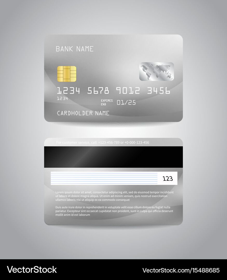 Realistic detailed credit card Royalty Free Vector Image