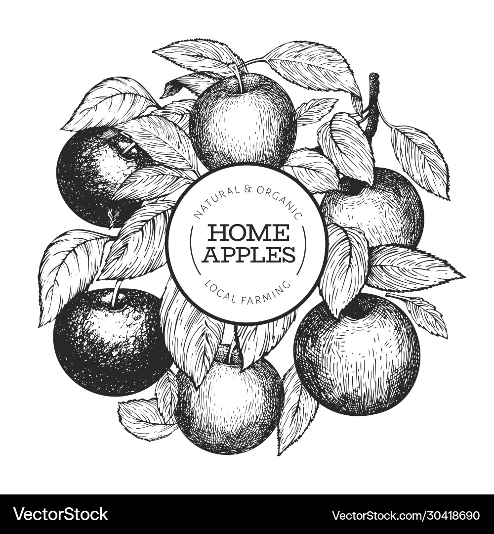 Apple branch design template hand drawn garden Vector Image