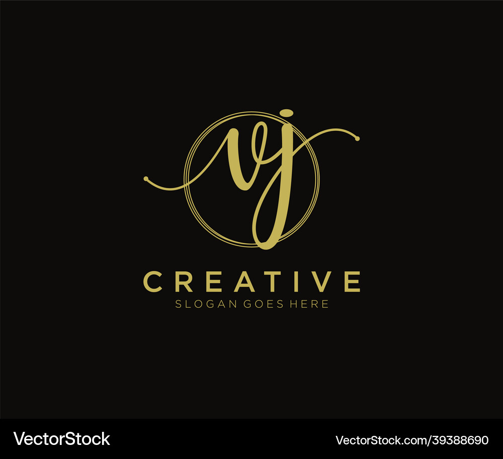 Initial vj feminine logo beauty monogram Vector Image
