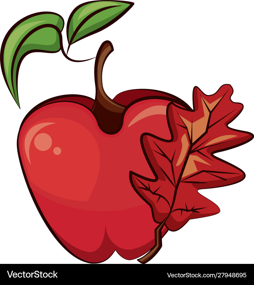 Apple fresh fruit with autumn leafs nature icon Vector Image
