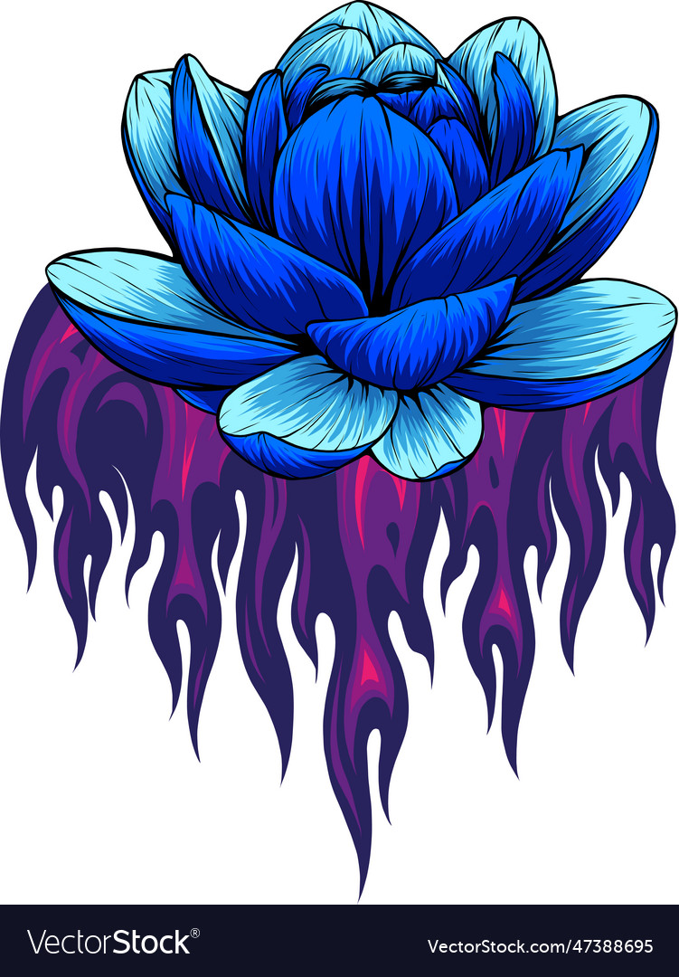 Beautiful flower lily lotus Royalty Free Vector Image
