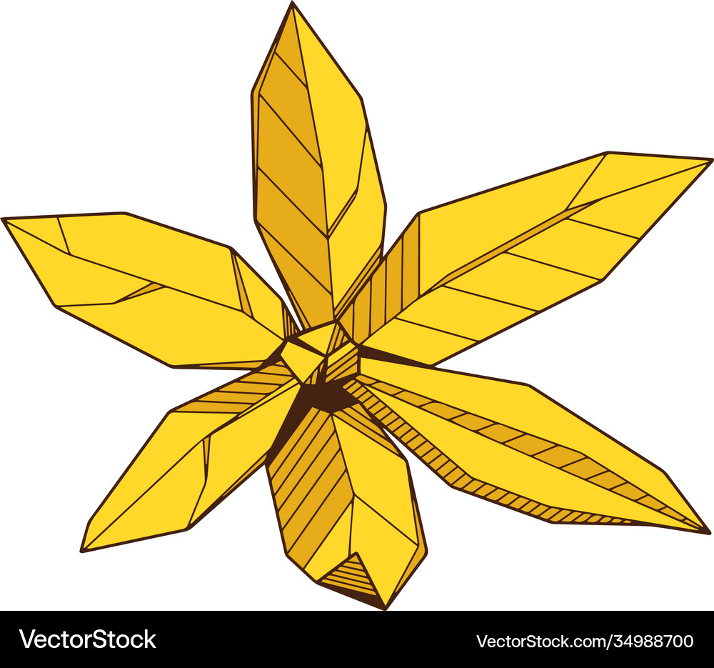 Colored hand drawing geometrical blossoming flower