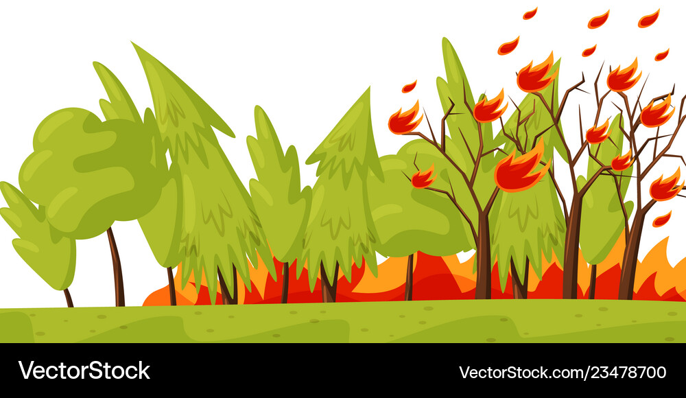 Green forest in fire burning trees natural Vector Image